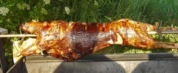 Janjetina | Fini Recepti by Crochef